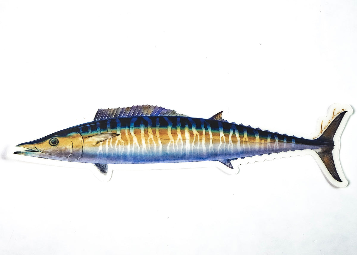 ABACHAR | WAHOO - 9" STICKER | Salt Therapy Brand